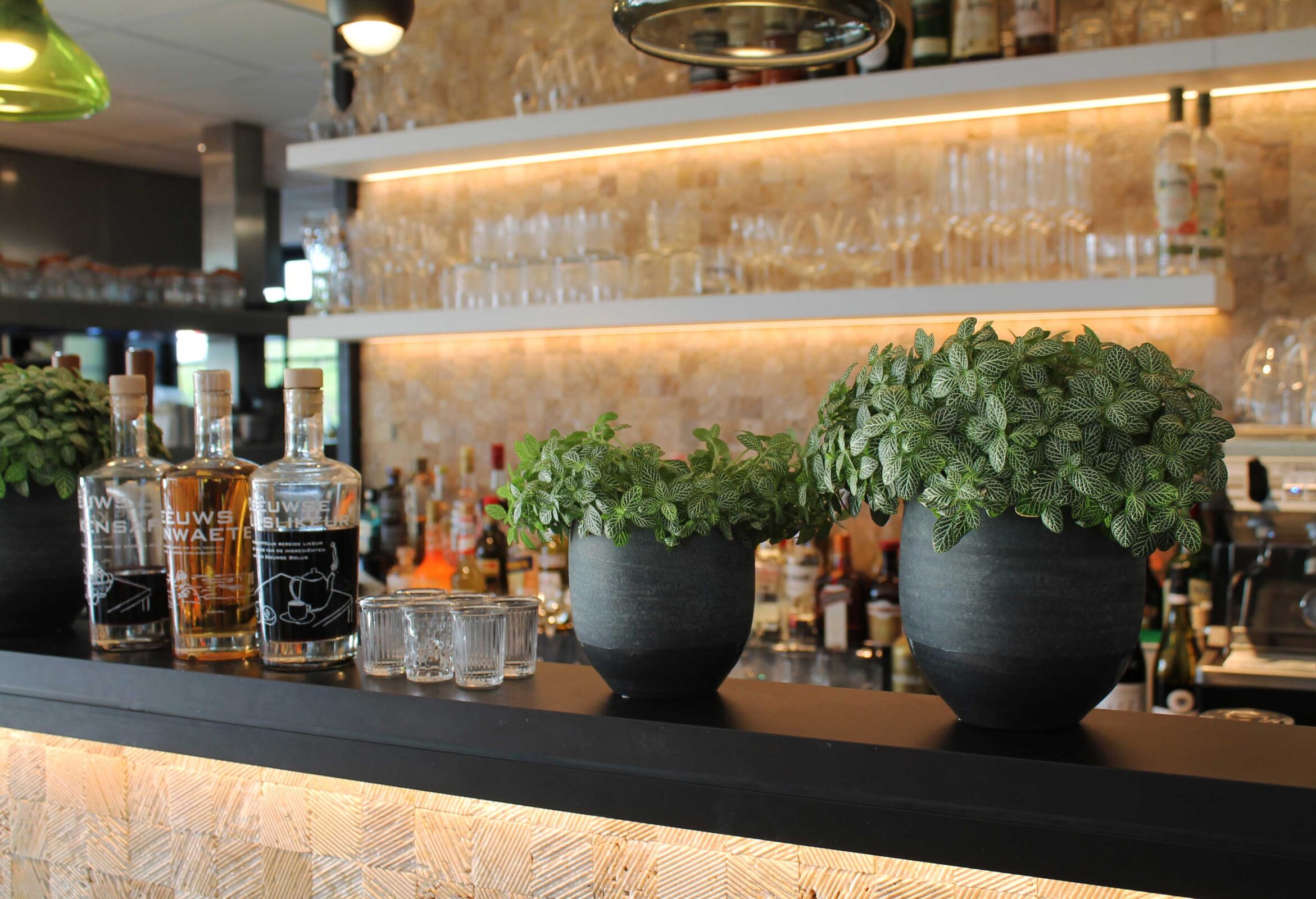 6 x delicious food in Cadzand-Bad - Hello Zeeland